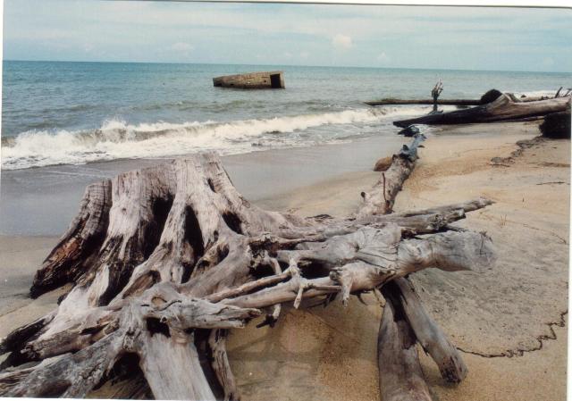 Kubu Pantai Sabak